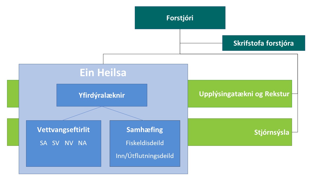 Skipurit | Matvælastofnun